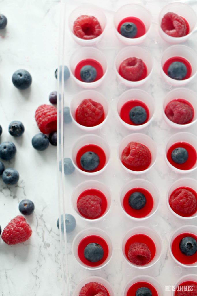 Festive 4th of July: Raspberry & Blueberry Ice Cubes | This is our Bliss