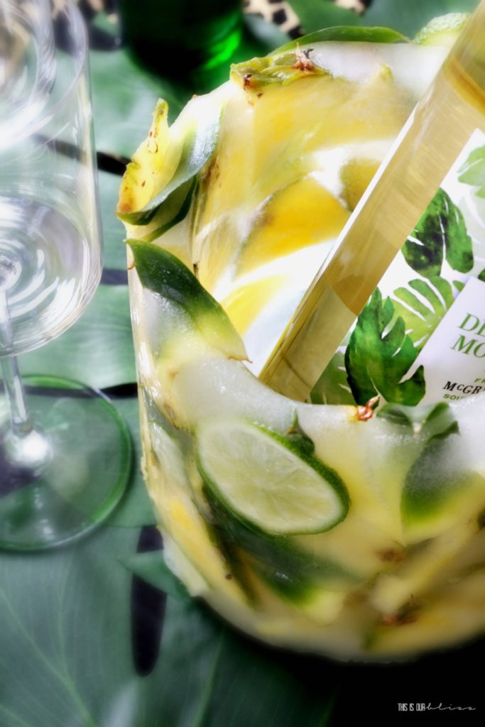 How to Make a Fruit Ice Mold Wine Chiller for Summer | This is our Bliss