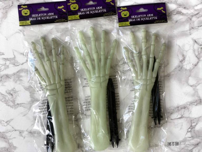 DIY Skeleton Hands Vase | My Dollar Store DIY | This is our Bliss