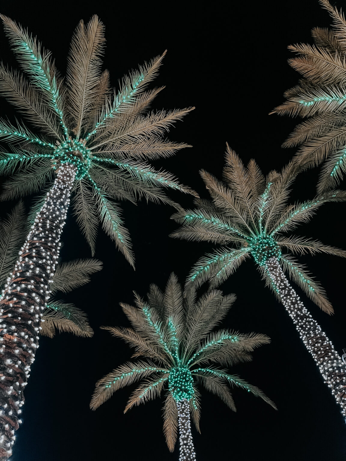 Christmas at The Princess // Magical Winter Wonderland in Arizona